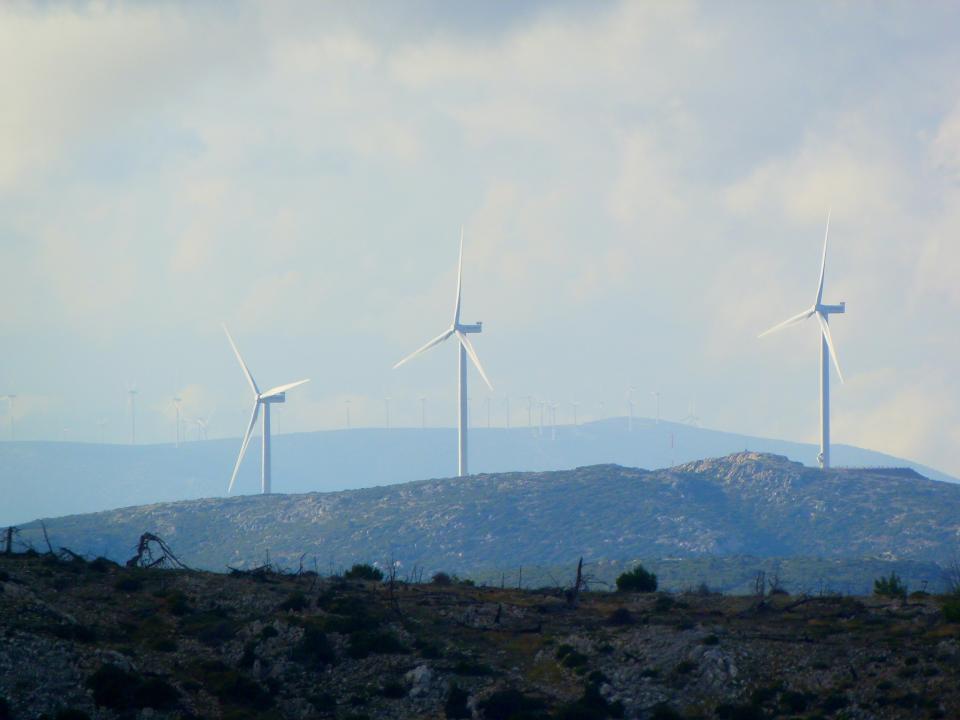 O que é ESG, como funciona e entenda qual o objetivo